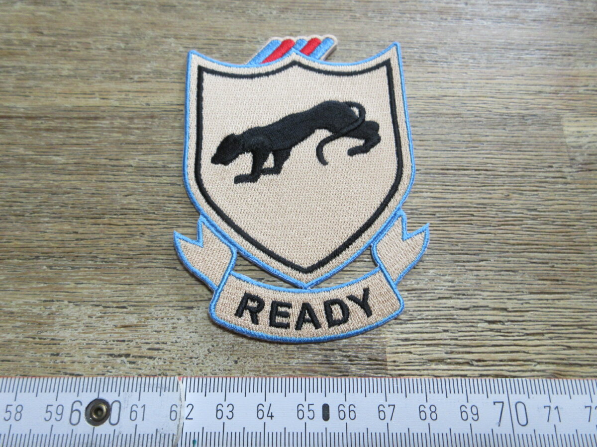 Patch 505th P.I.R. Ready Panthers Fighting Squadron 82nd Airborne US