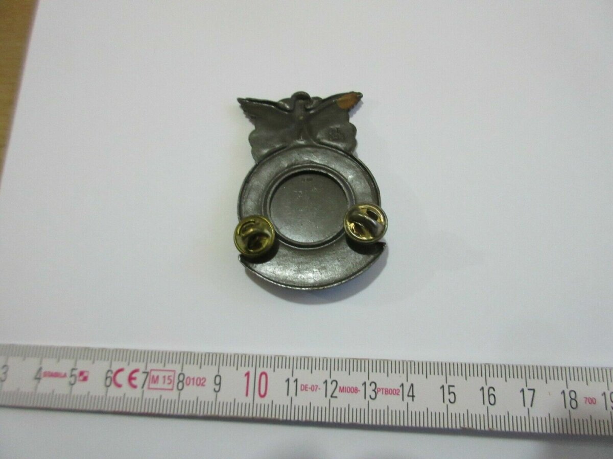 US Army USAF Fire Protection Pin Badge Firefighter Special Forces Lar